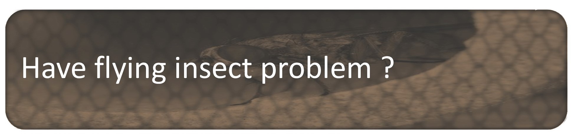 Flying Insect Syahraya